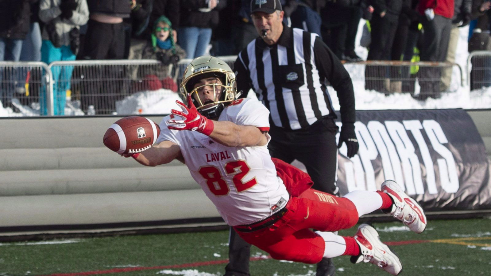 Alouettes ink undrafted Laval receiver Mathieu Robitaille - 3DownNation