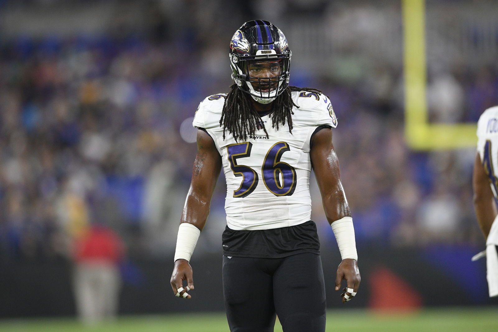 B.C. Lions quietly add former third-round NFL pick cut by Riders ...