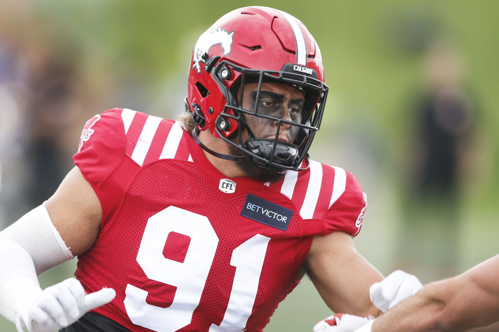 Sources: Montreal Alouettes agree to terms with Canadian DL Isaac ...