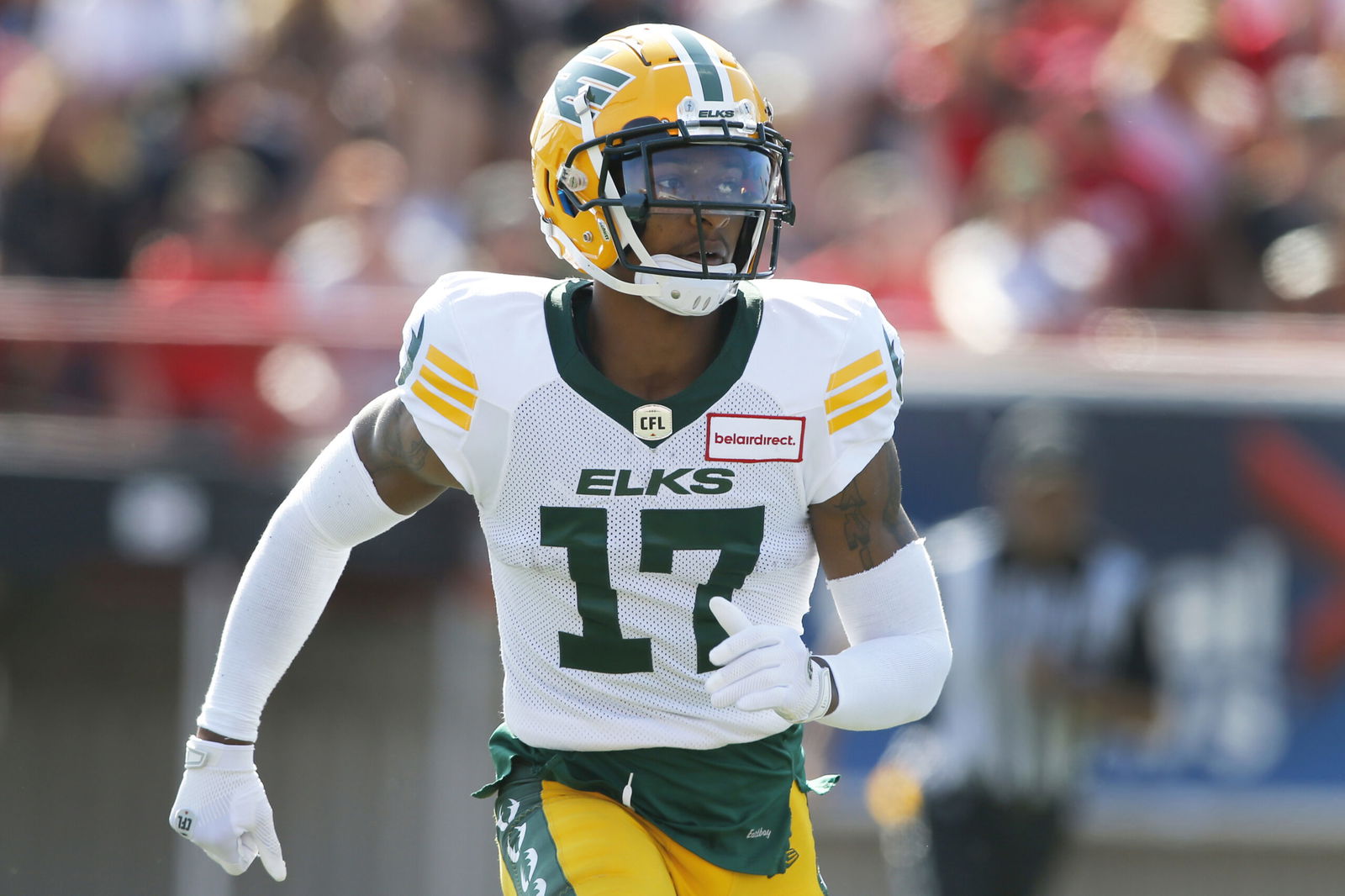 Second-year Elks' receiver Dillon Mitchell sets goal of 2,000 yards in ...