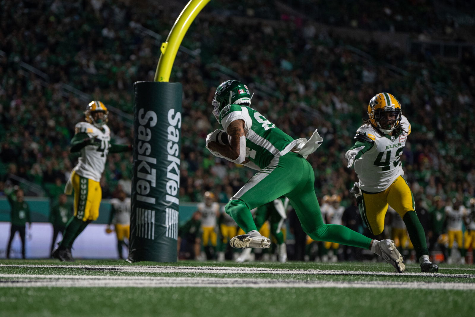 'Eff it, man': receiver Brayden Lenius wants Riders to move on from ...