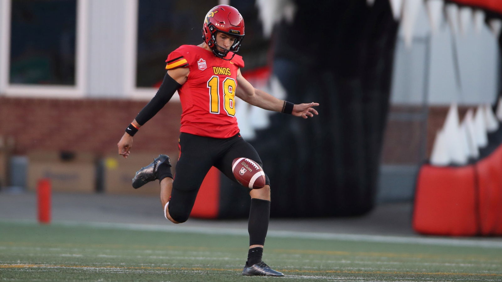 Bombers sign All-Canadian punter Chris MacLean, two others - 3DownNation