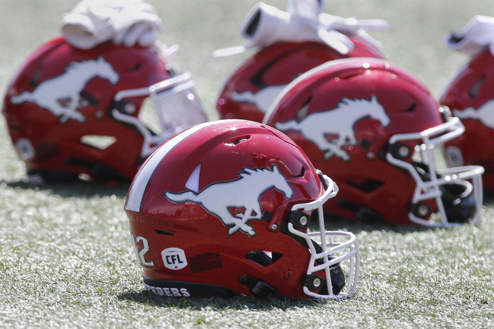 Calgary Stampeders sign four players back for 2025 - 3DownNation