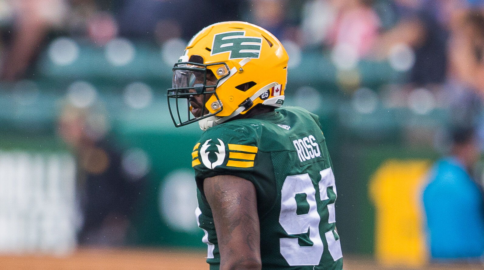 Edmonton Elks release veteran NFL defensive tackle Daniel Ross ...