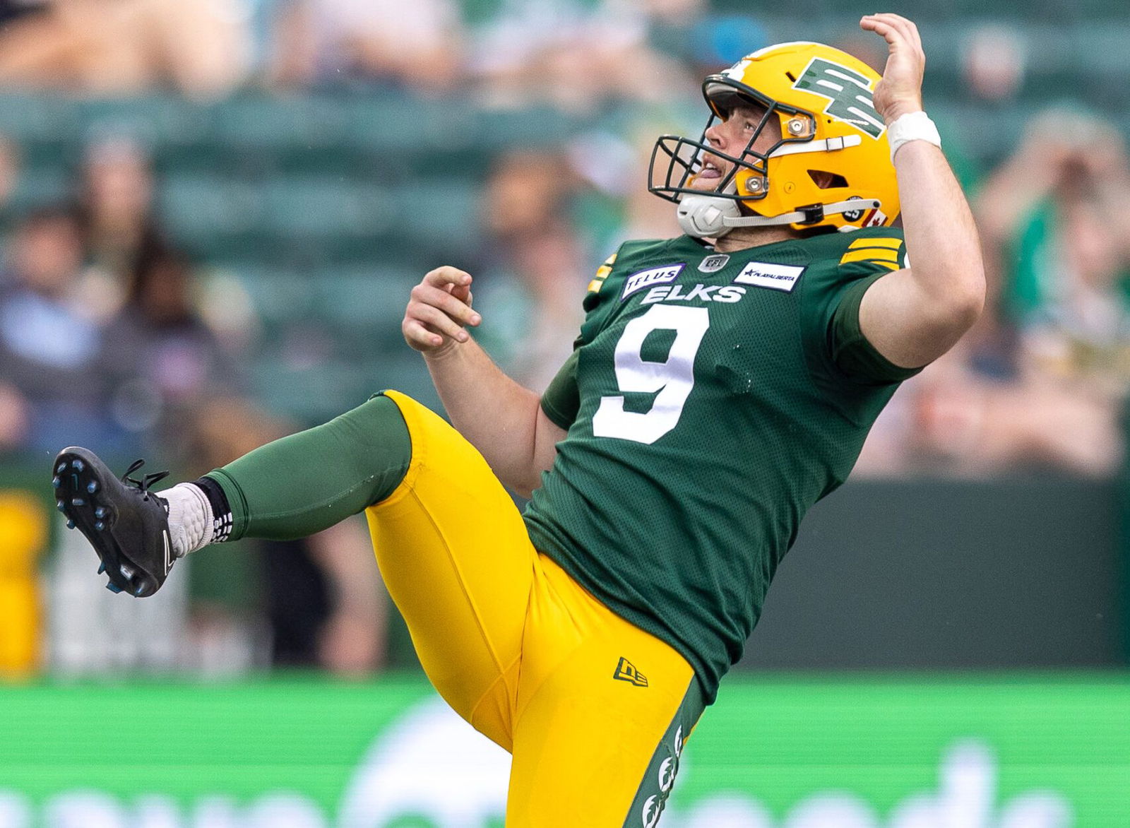 Edmonton Elks release Canadian punter Jake Julien to pursue NFL ...
