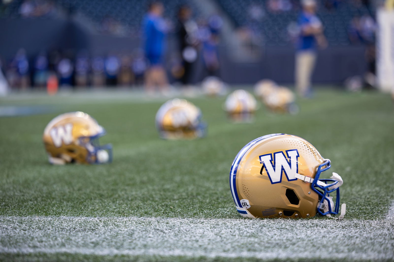 Winnipeg Blue Bombers release six from training camp roster - 3DownNation