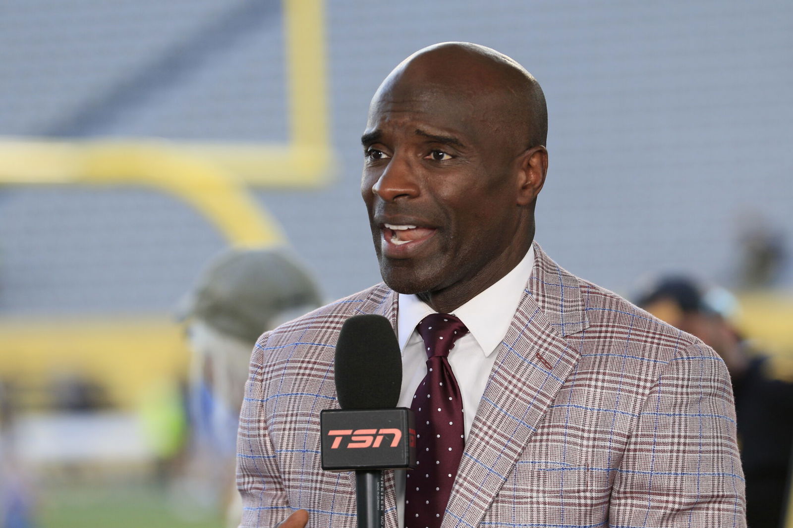 Milt Stegall returning to CFL on TSN for Week 7, will join panel in ...