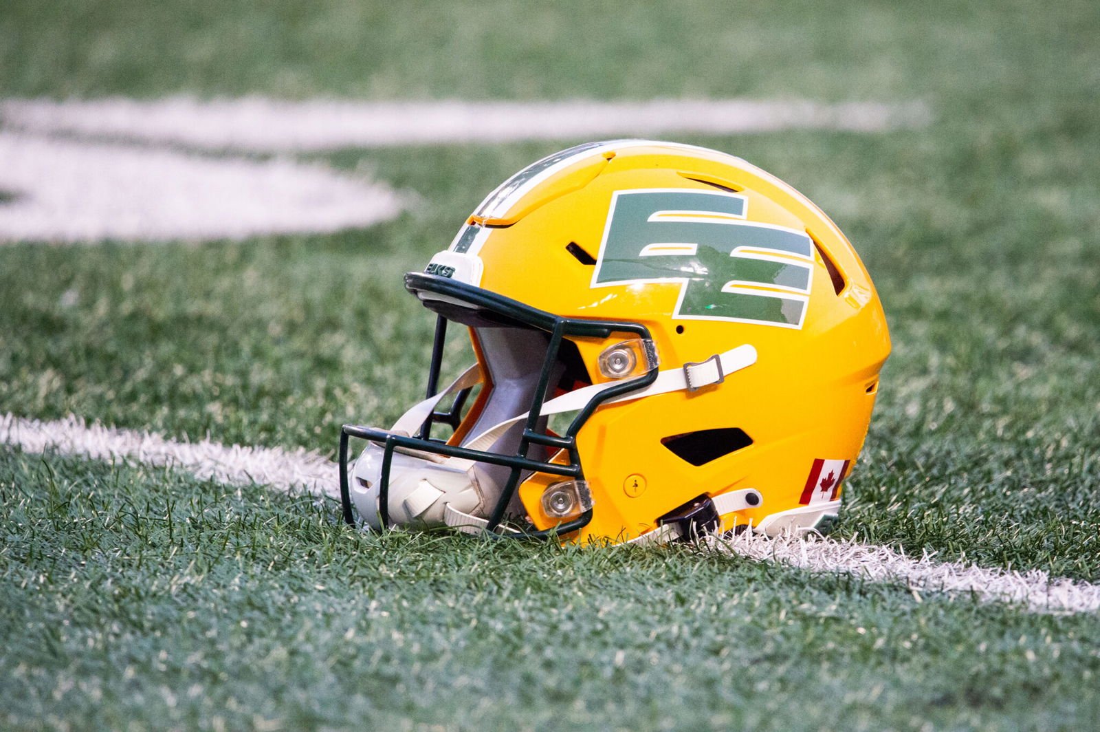 Edmonton Elks sign Global punter Ethan Duane - 3DownNation