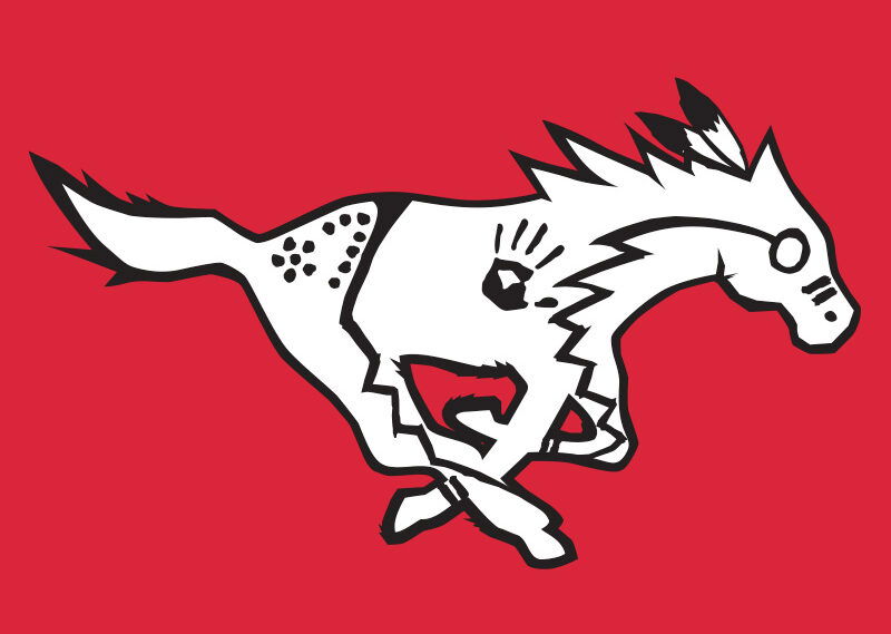 Calgary Stampeders unveil special Indigenous-designed logo for National ...