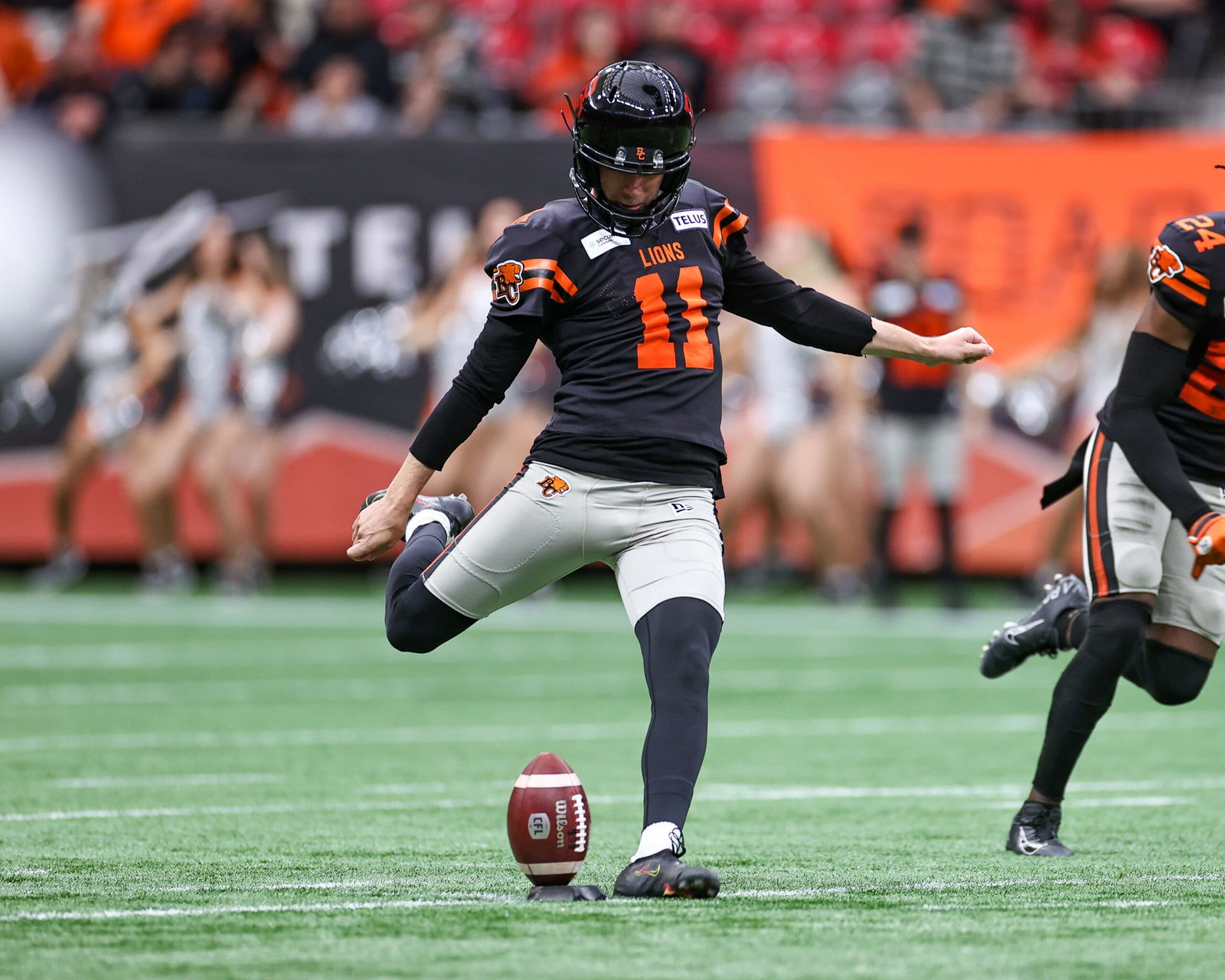 B.C. Lions re-sign punter Stefan Flintoft: sources - 3DownNation
