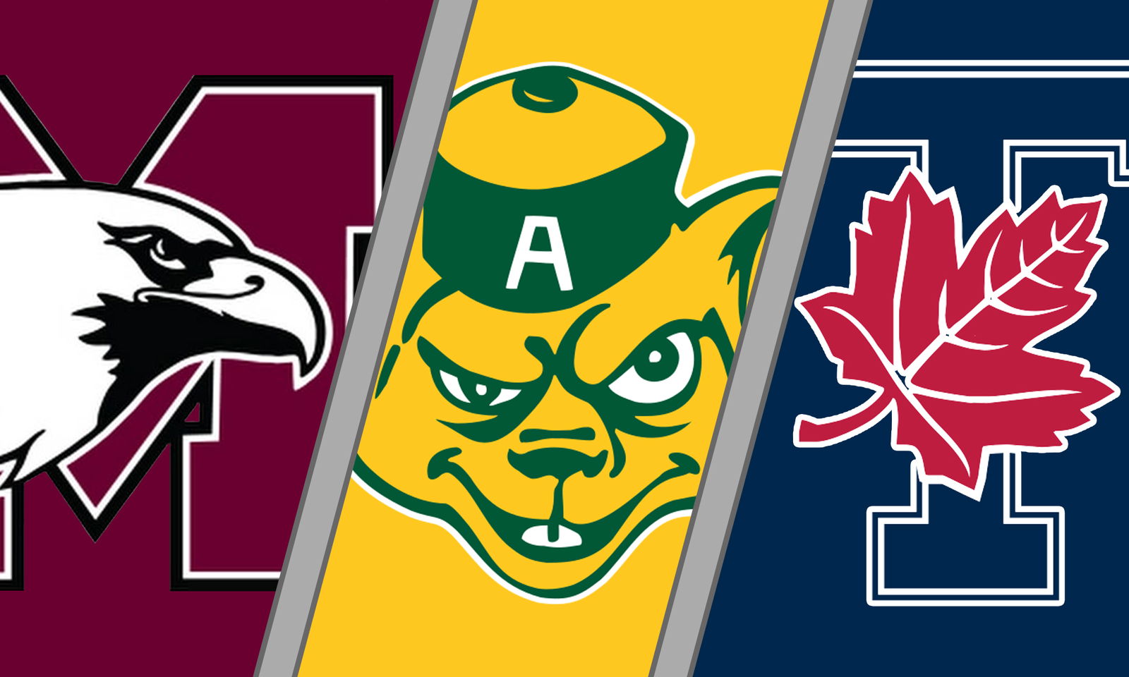 Ranking all 27 U Sports football team logos (part two) - 3DownNation