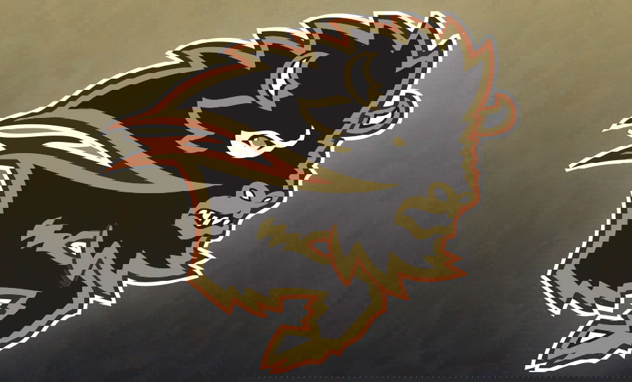 Manitoba Bisons narrow head coaching search to four finalists - 3DownNation