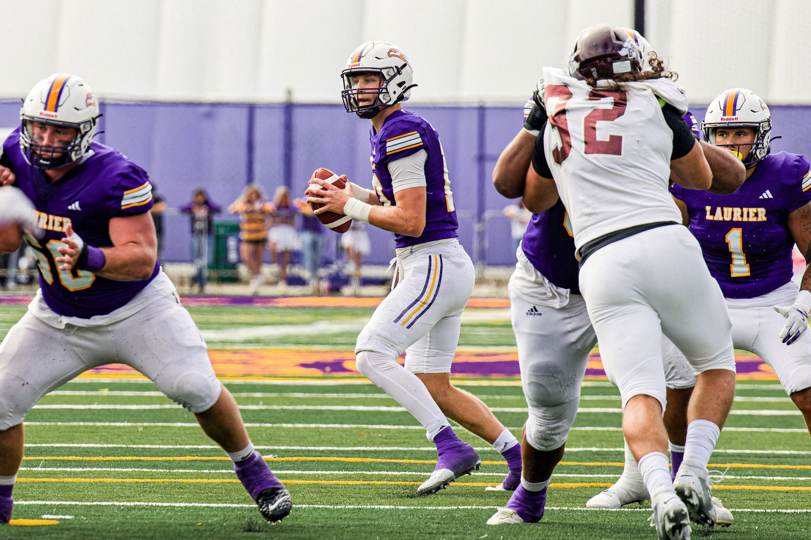 Packers bringing Canadian QB Taylor Elgersma back to Green Bay for ...