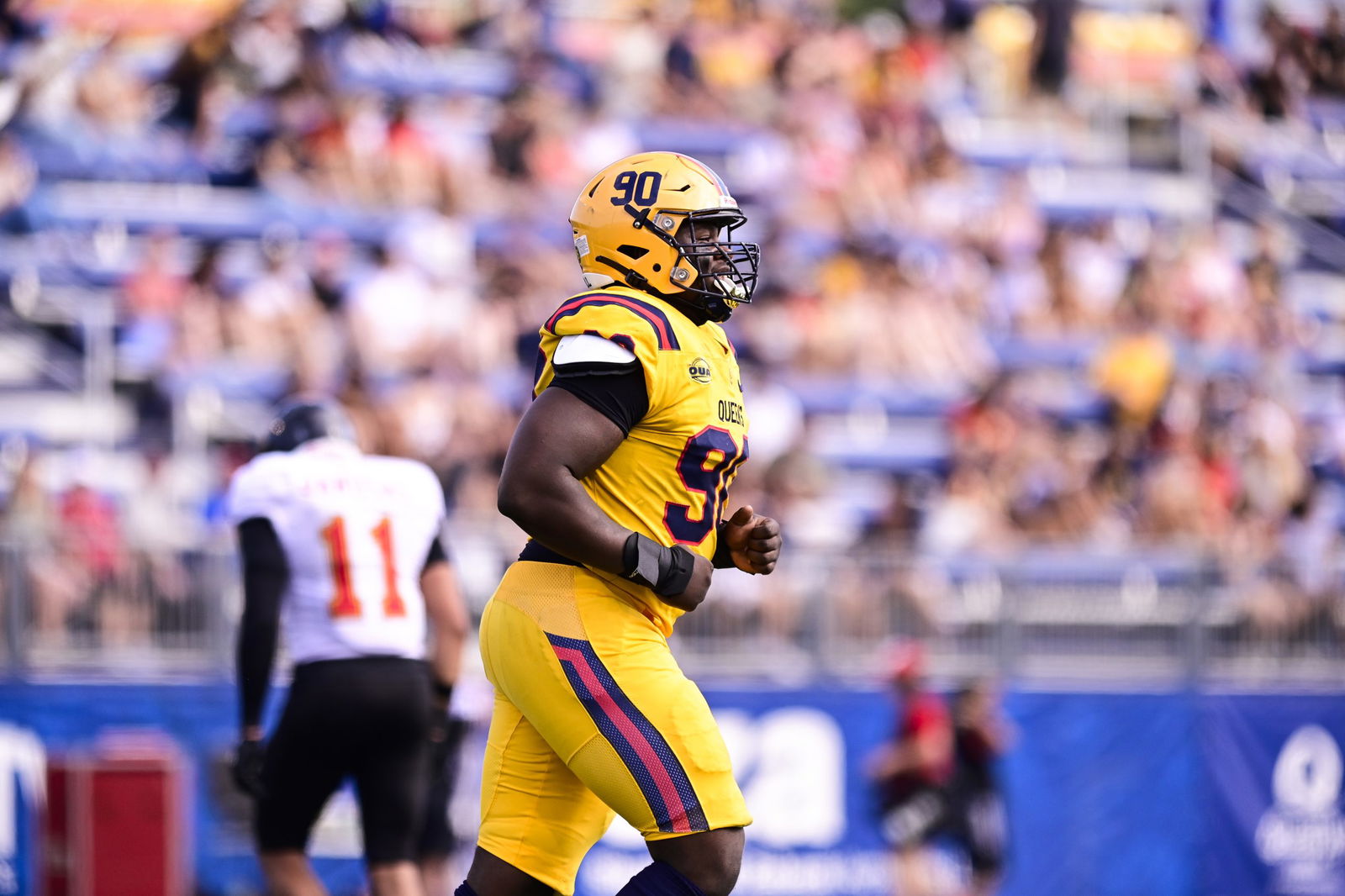 Edmonton Elks' DL Darien Newell tests positive for banned substances ...