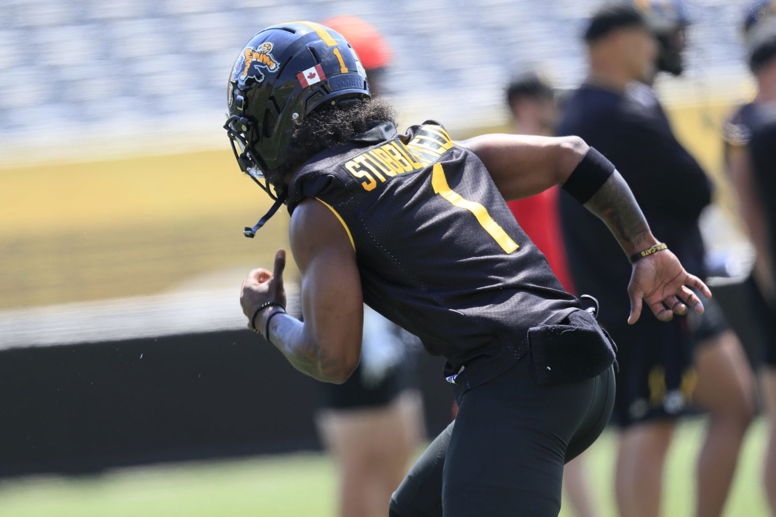 Prized free-agent acquisition Reggie Stubblefield making Hamilton Tiger ...