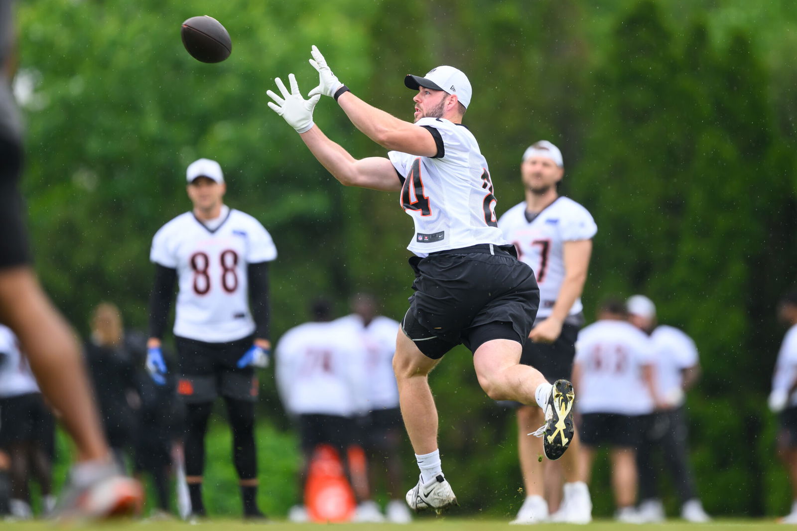 Los Angeles Chargers release Canadian TE Tanner McLachlan for third ...