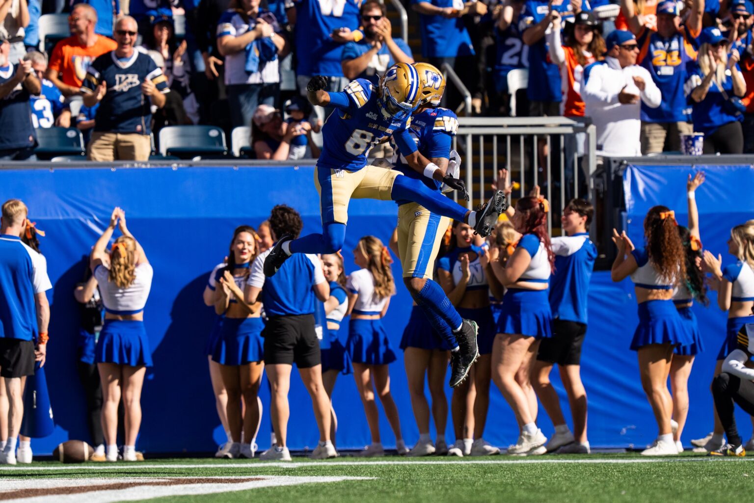 Winnipeg Blue Bombers erupt offensively, crush Hamilton Tiger-Cats ...