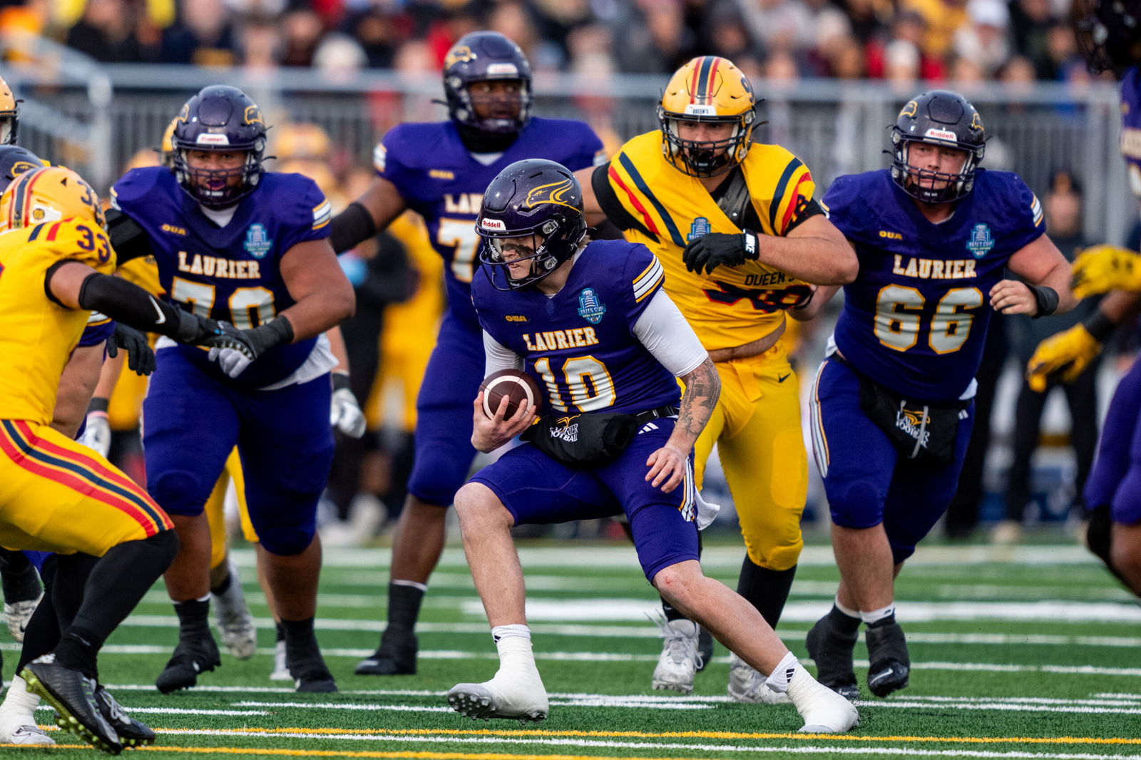 Not-so-Golden day for Wilfrid Laurier as Queen's wins Yates Cup ...